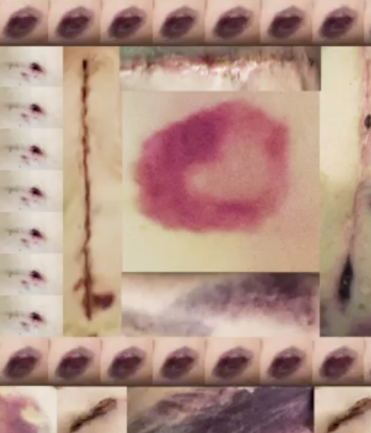 Blackdove Digital Canvas Artwork Displays